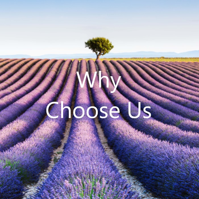 HomeMade Education – Delightfully Unique, Online Learning.