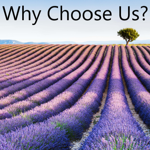 HomeMade Education – Delightfully Unique, Online Learning.